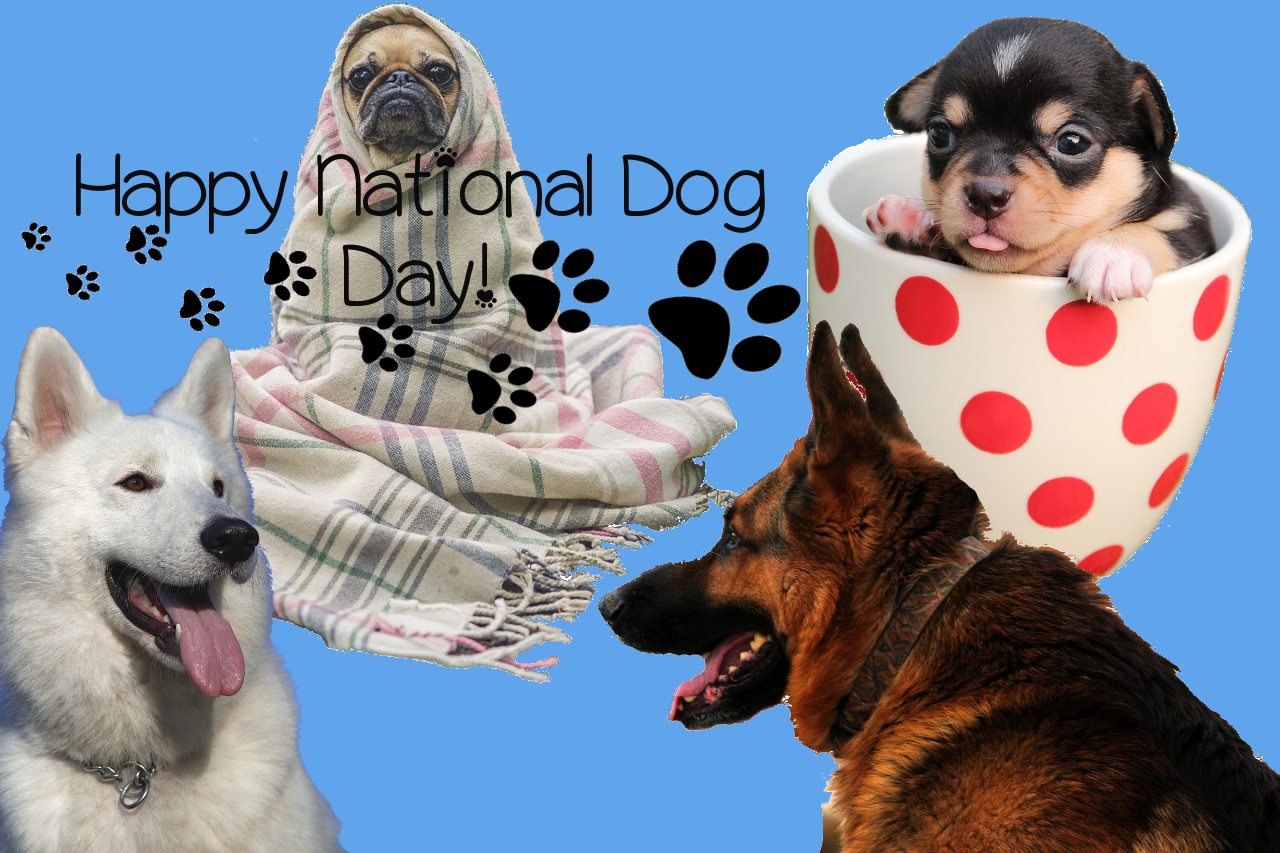 National Dog Day National Dog Day